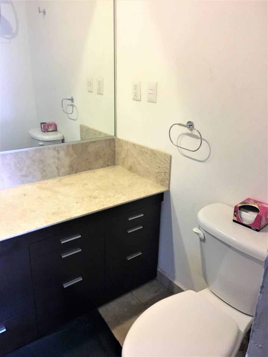 Depto Amueblado y Equipado en Grand Tower Polanco