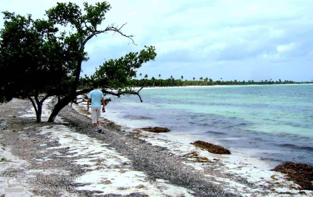 "" TULUM PUNTA ALLEN "" PUNTA SAN JUAN | EasyAviso