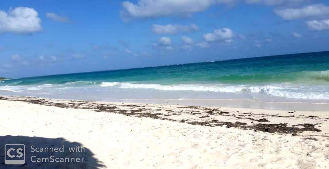 "" TULUM PUNTA ALLEN "" PUNTA SAN JUAN | EasyAviso