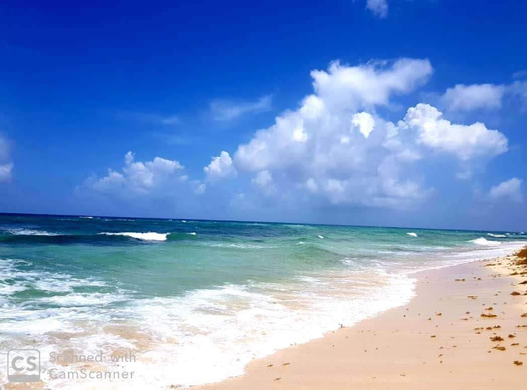 "" TULUM PUNTA ALLEN "" PUNTA SAN JUAN | EasyAviso