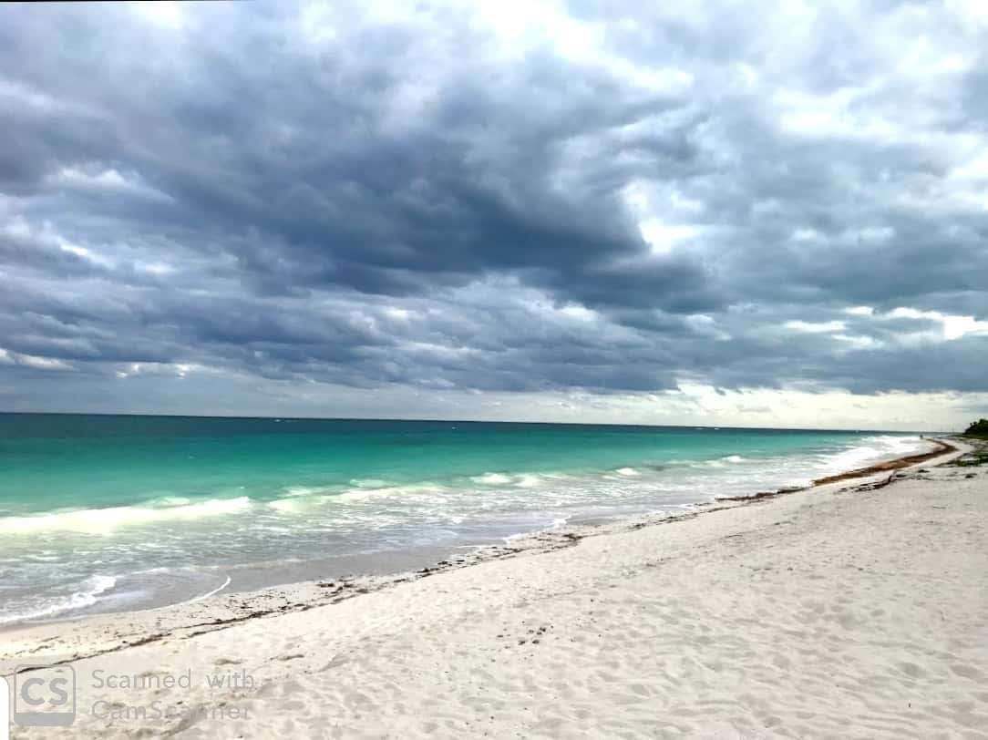 "" TULUM PUNTA ALLEN "" PUNTA SAN JUAN | EasyAviso