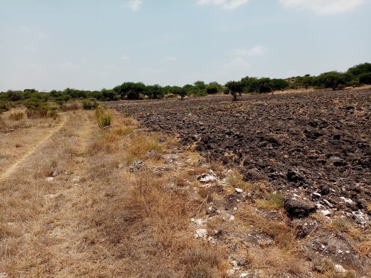 TERRENO RÚSTICO/CAMPESTRE | EasyBroker