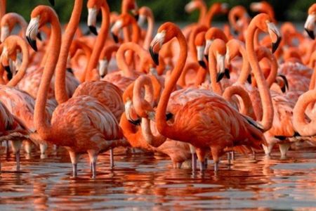 Terreno en venta en la Playa | EasyBroker