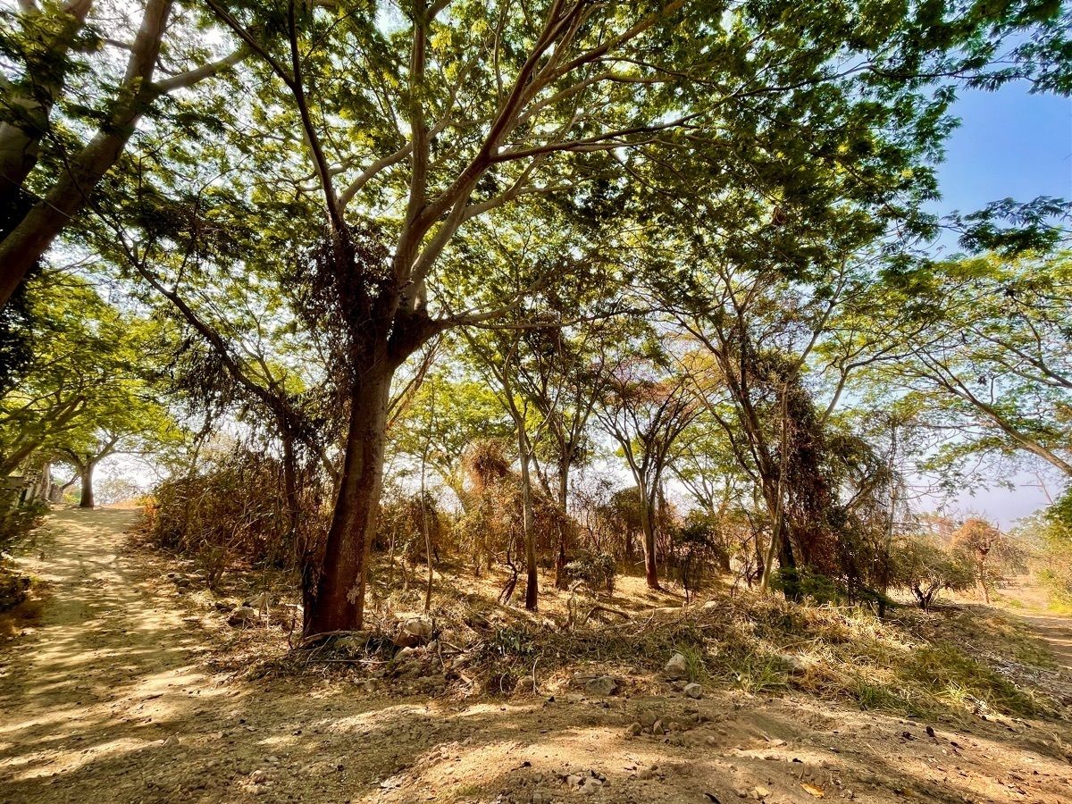 Terreno Campestre en Venta el Chivato, Colima, Callejón de las Huertas ...