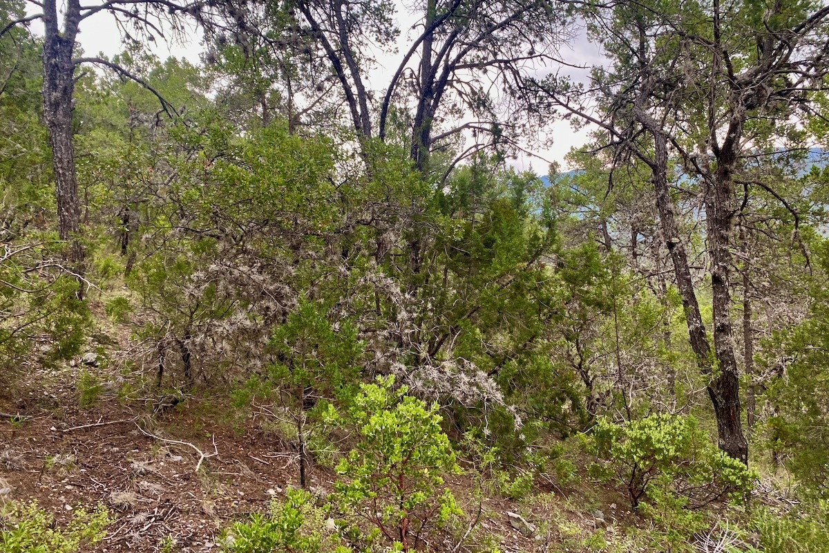 Terreno campestre en VENTA en Jamé | EasyBroker