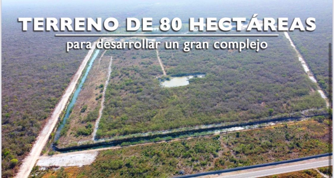 80 hectareas para Desarrollar | EasyBroker