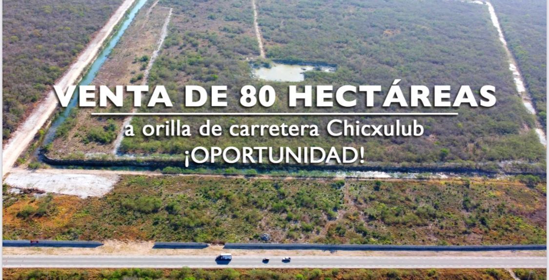 80 hectareas para Desarrollar | EasyBroker