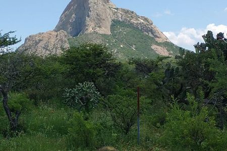 TERRENO PANORÁMICO 2Ha EN PUEBLO MÁGICO DE BERNAL, QRO. P/INVERSIONISTA ...