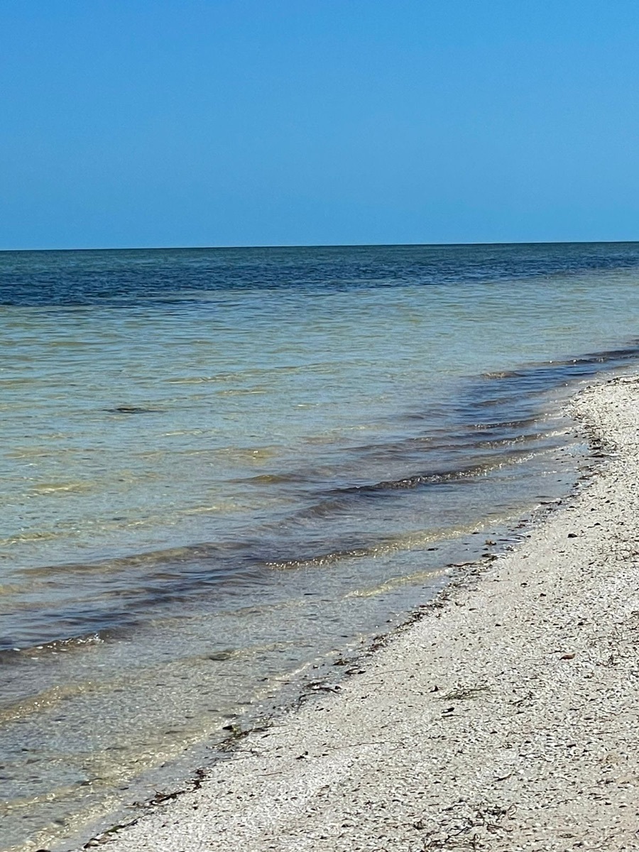 Terreno en la playa de Chabihau,Yobain Yucatan | EasyBroker
