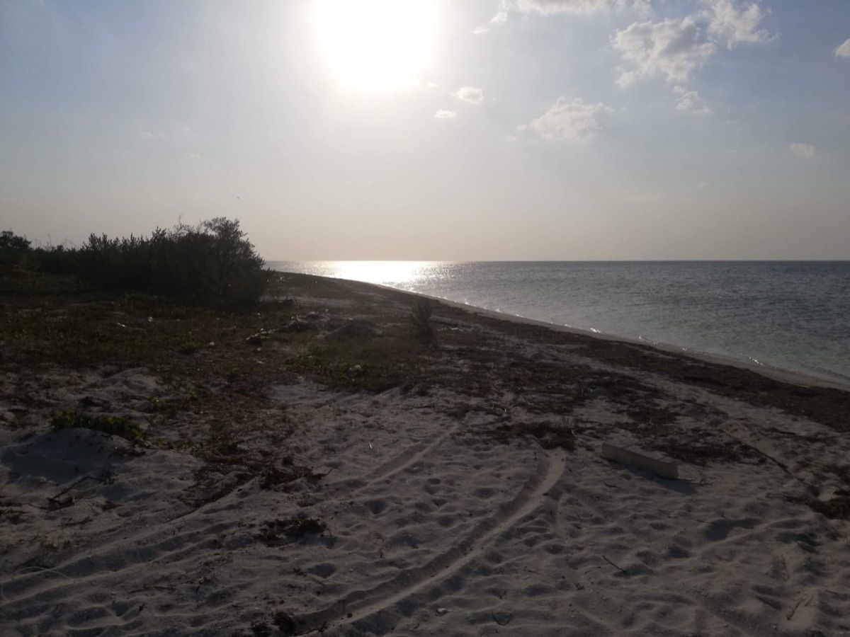 Terreno en la playa de Chabihau,Yobain Yucatan | EasyBroker