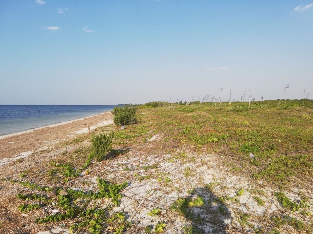 Terreno en la playa de Chabihau,Yobain Yucatan | EasyBroker