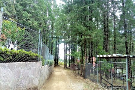 TERRENO BOSQUE en DODITAY, JILOTZINGO | EasyBroker
