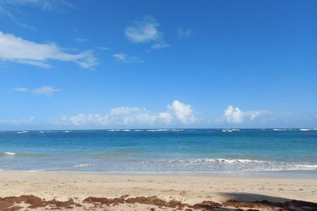 Solar en Uvero Alto | EasyBroker