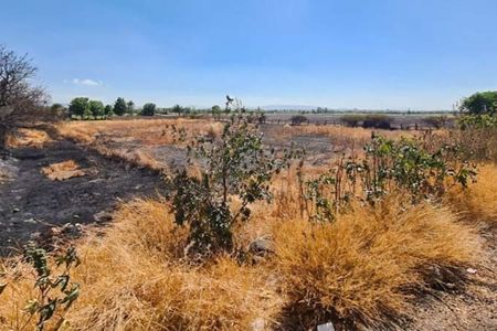 25 de Julio, Tlacote el Bajo, Querétaro | EasyBroker