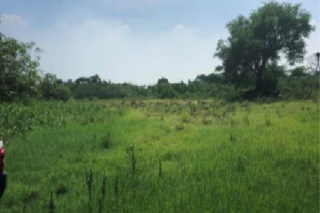 TERRENO EN VENTA EN VILLAHERMOSA TABASCO | EasyBroker