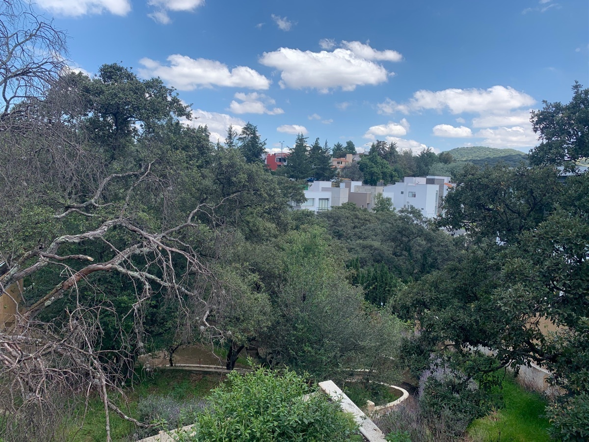 Clasco | El marketplace seguro para comprar en línea en México