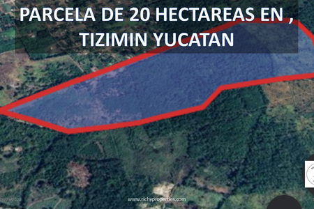 PARCELA DE 20 HECTAREAS EN TIZIMIN,YUCATAN | EasyBroker