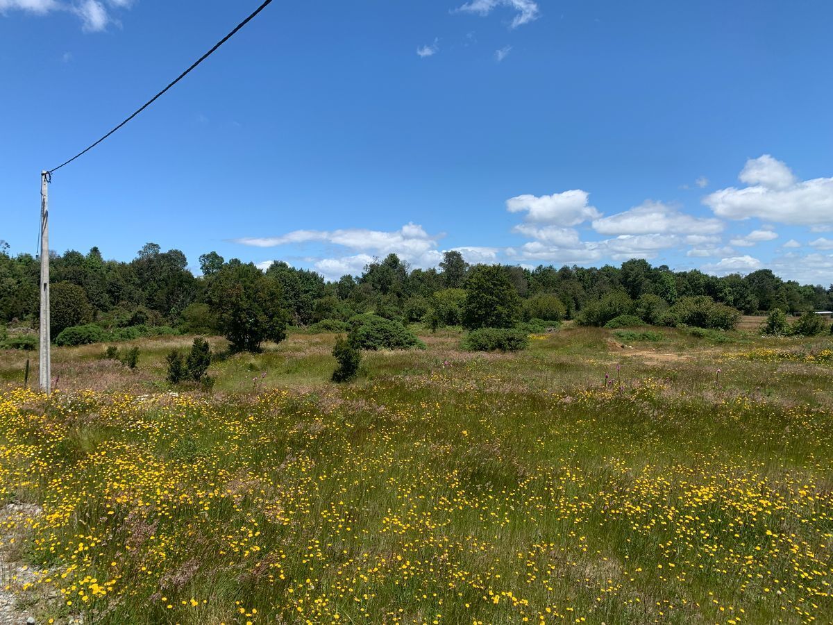 Parcela en venta Parque Ivian 2, Puerto Varas | EasyBroker
