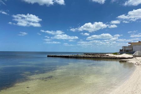 Terreno Frente a la Playa en Chabihau | EasyBroker