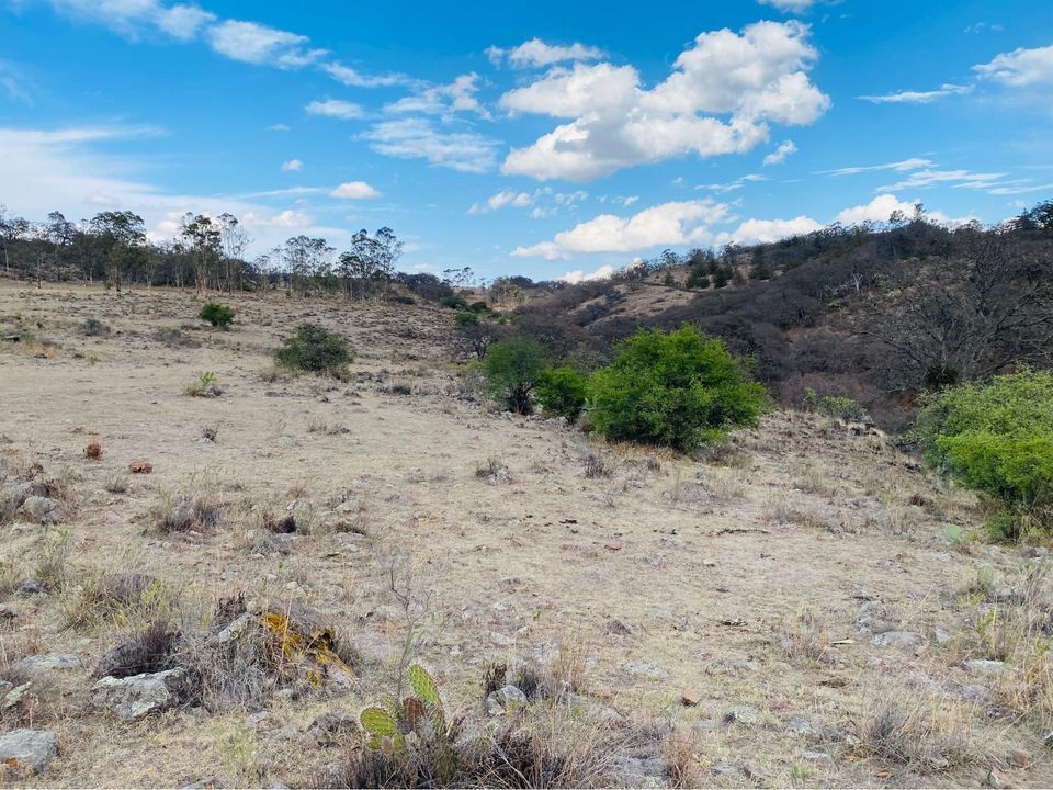 Remate terreno rustico en Amealco. | EasyBroker