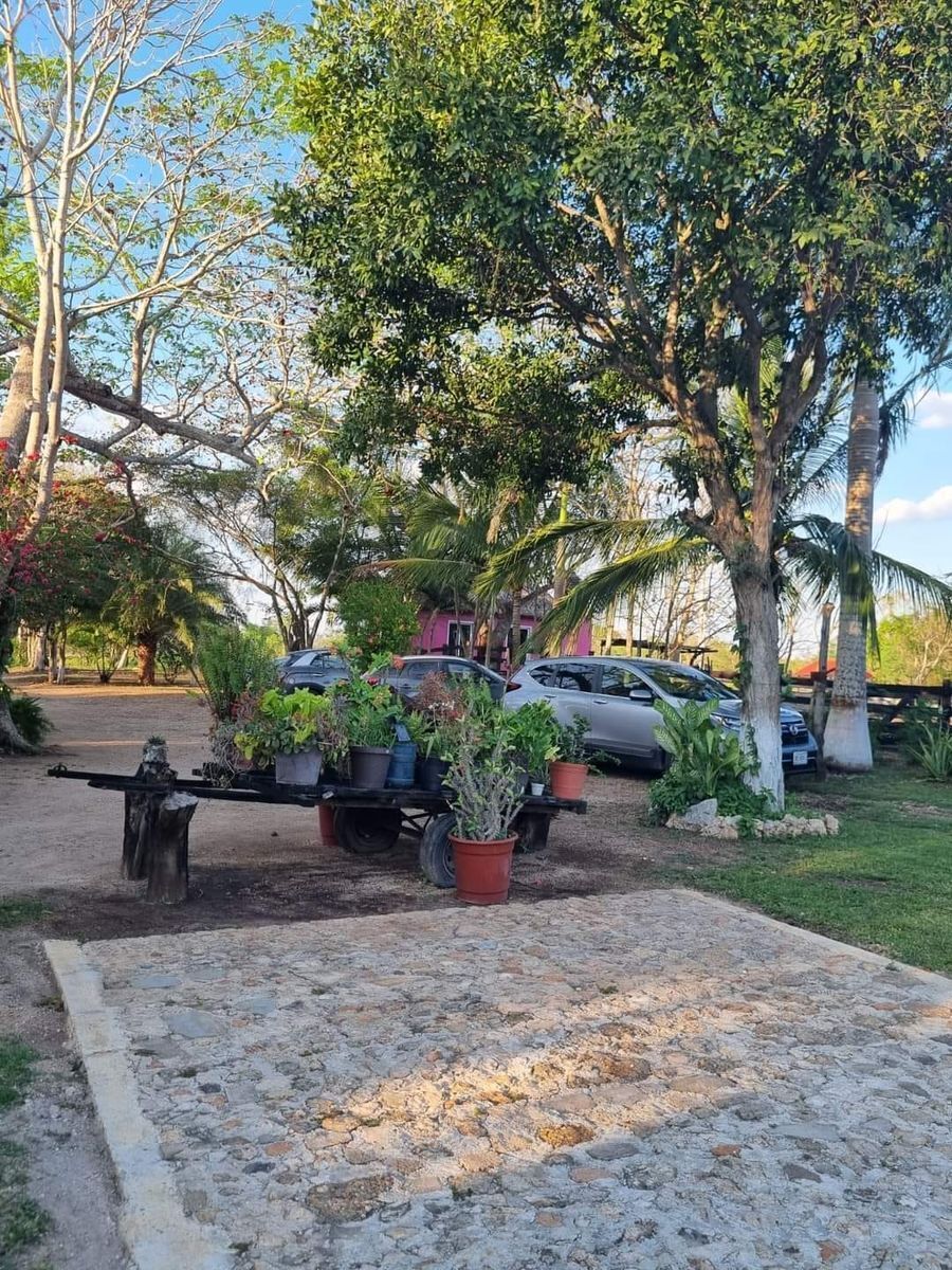 Cabañas eco turísticas vacacionales en renta en Panabá, Yucatán ...