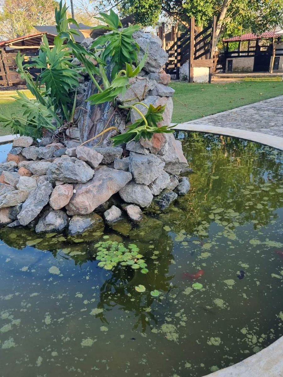 Cabañas eco turísticas vacacionales en renta en Panabá, Yucatán ...