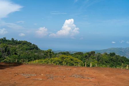 Pristine Jungle Ocean View Farm with Rivers | EasyBroker