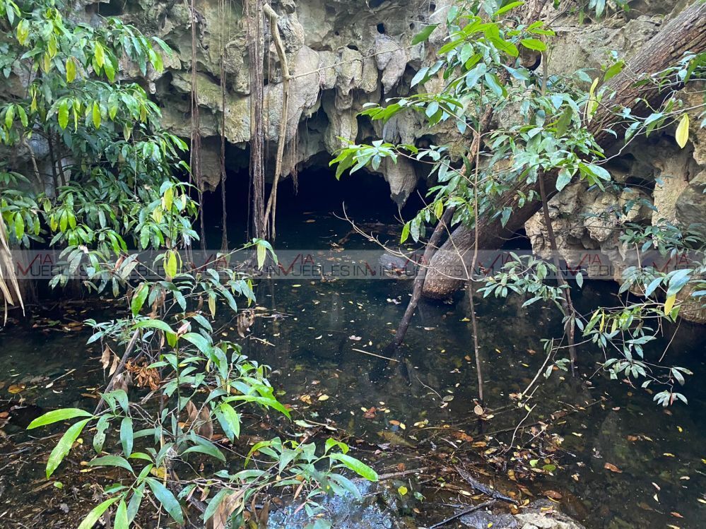 Cenotes Yucatán Santa Rosa | EasyAviso
