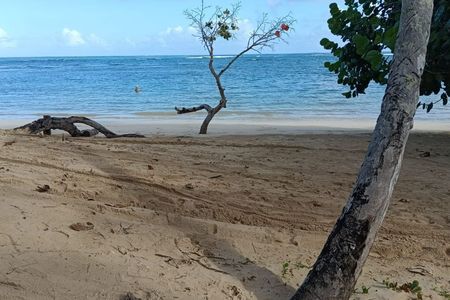 Playa Portillo, Las Terrenas, Ideal para desarrollo Turistico | EasyBroker
