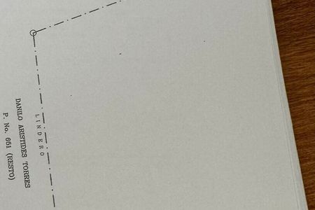 Solar ideal para desarrollo turístico ubicado en Constanza | EasyAviso