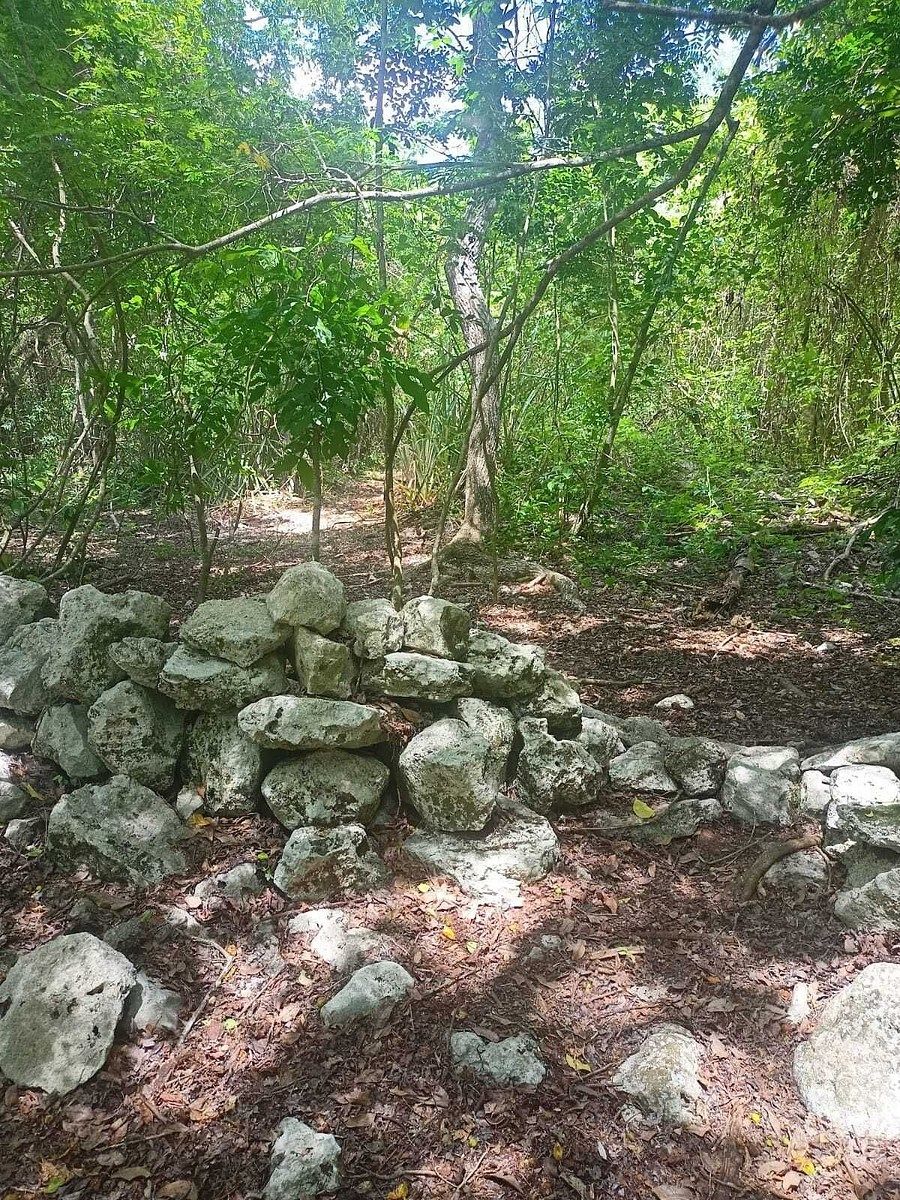 TERRENO EN VENTA EN CHEMAX, YUCATÁN. 109 HECTÁREAS | Pincali
