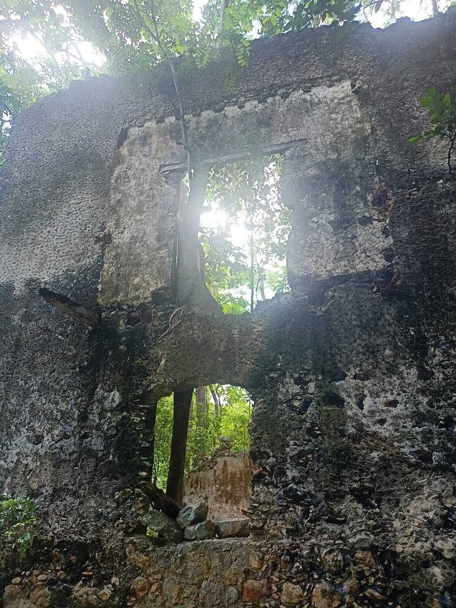 TERRENO EN VENTA EN CHEMAX, YUCATÁN. 109 HECTÁREAS | Pincali